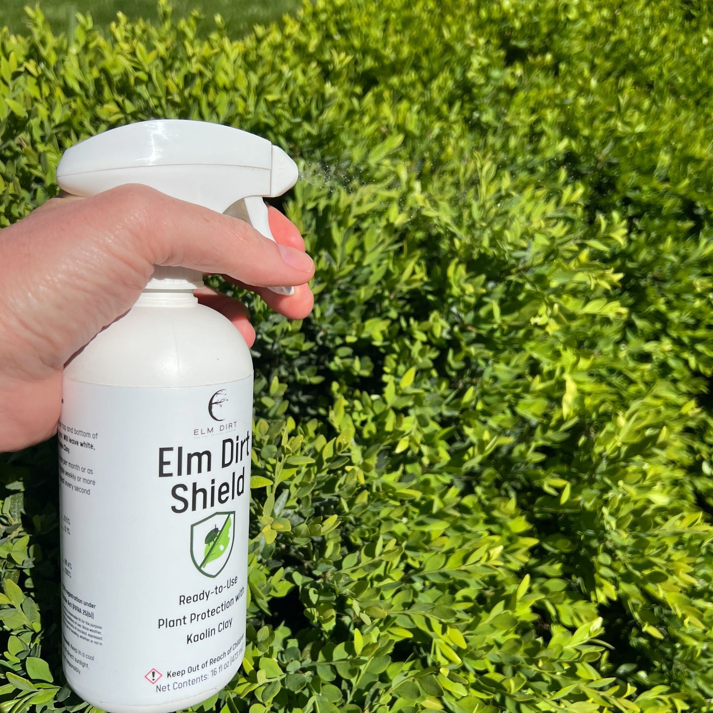 Elm Dirt's Shield, All Natural Pesticide – Urban Worm Movement